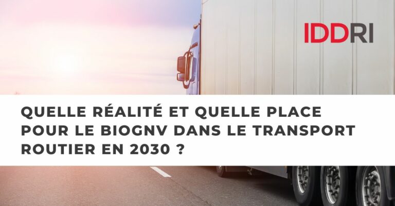 Quelle réalité et quelle place pour le bioGNV dans le transport routier ...